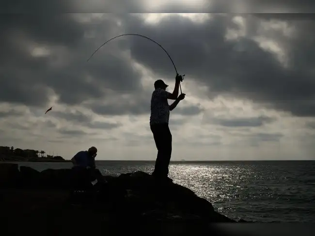 Arizona’s San Carlos Lake closes after catastrophic fish kill wipes out ...