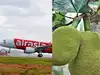 flight streamer meme no nose: Latest News & Videos, Photos about flight ...