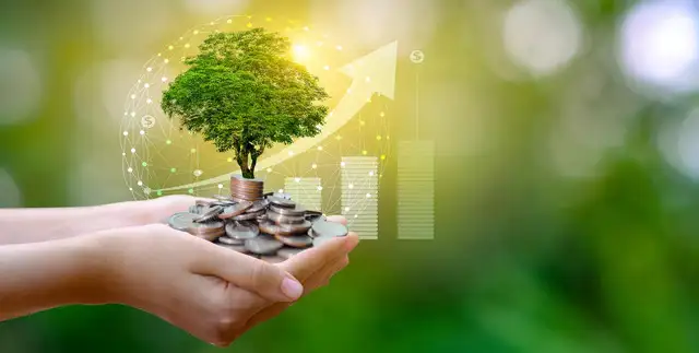 Looking for best mutual funds to invest in? Here are the top 10 picks ...