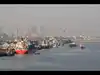 prof dr mukesh sharma: Latest News & Videos, Photos about prof dr ...