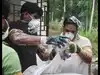 special report: Latest News & Videos, Photos about special report | The ...