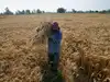 ease distribution arrived india: Latest News & Videos, Photos about ...