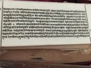 Assam's Karbi Anglong holds rare medieval manuscripts, admin to rope in ...