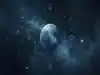 redbox new releases coming soon News and Updates from The Economic ...