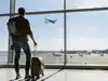 flight streamer meme no nose: Latest News & Videos, Photos about flight ...
