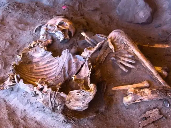 DNA from 7000-year-old African Mummy reveals about humans who lived in ...