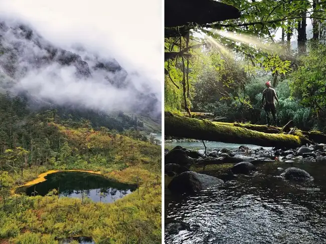 Ancient forests, blooming rhododendrons, glacial rivers, log bridges ...