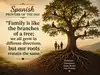 where is tree of life: Latest News & Videos, Photos about where is tree ...