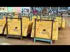 the kiffness big billy cats owner News and Updates from The Economic ...
