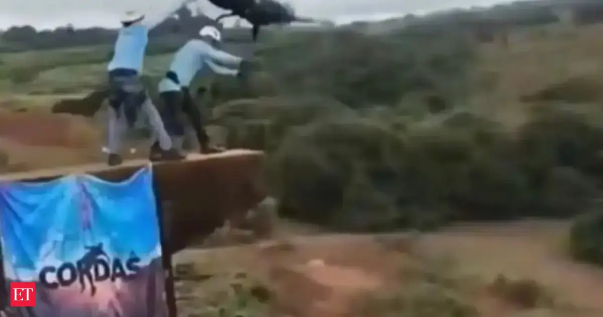 Brazil bungee jump victim’s final Instagram post draw attention after ...