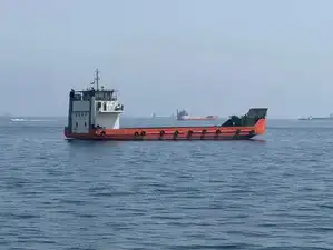 SJM writes to US envoy over Indian seafarers' killing, seeks probe ...