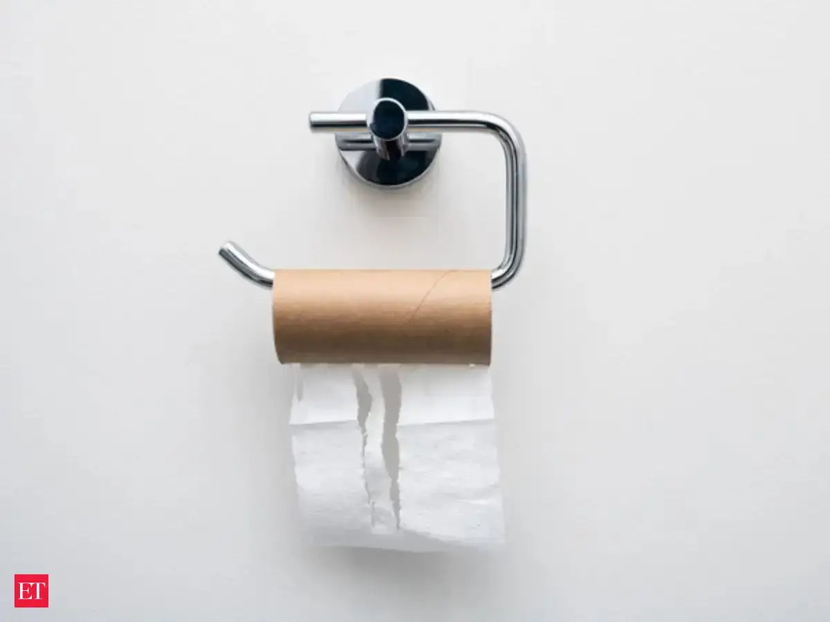 5 genius DIY ways to use empty toilet paper rolls to organize your home ...