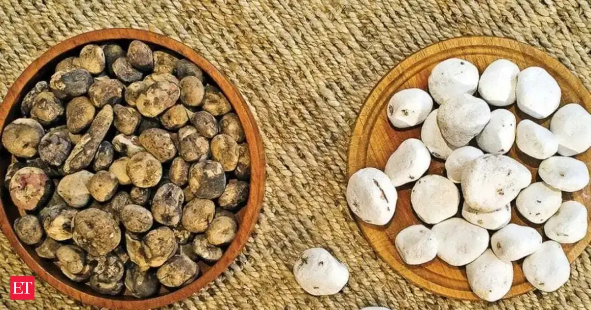 Rare Inca freeze dried potatoes discovery: 500 years buried in a jar ...
