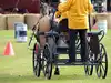 bike accident news yesterday: Latest News & Videos, Photos about bike ...