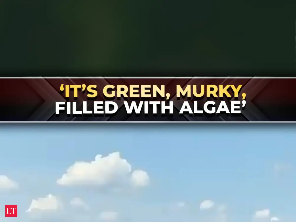 Lincoln Memorial Reflecting Pool covered in algae days after refill ...