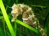 positive news for innovative drug exports: Latest News & Videos, Photos ...