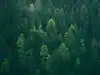 stellantis toluca assy plant: Latest News & Videos, Photos about ...
