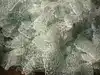 sarl algeria fuyao glass: Latest News & Videos, Photos about sarl ...