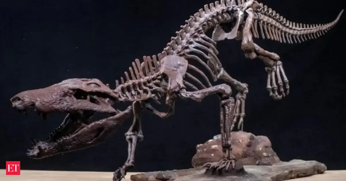 ancient baby fossils: These 300-million-year-old baby fossils just ...