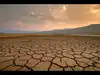 can it rain in sparkling skylands pokopia ai: Latest News & Videos ...