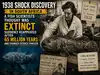 south africa fish discovery: Latest News & Videos, Photos about south ...