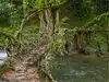darma valley weather today: Latest News & Videos, Photos about darma ...