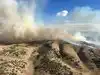 mandatory eureka: Latest News & Videos, Photos about mandatory eureka ...
