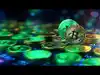 ed raid on kolkata businessman: Latest News & Videos, Photos about ed ...