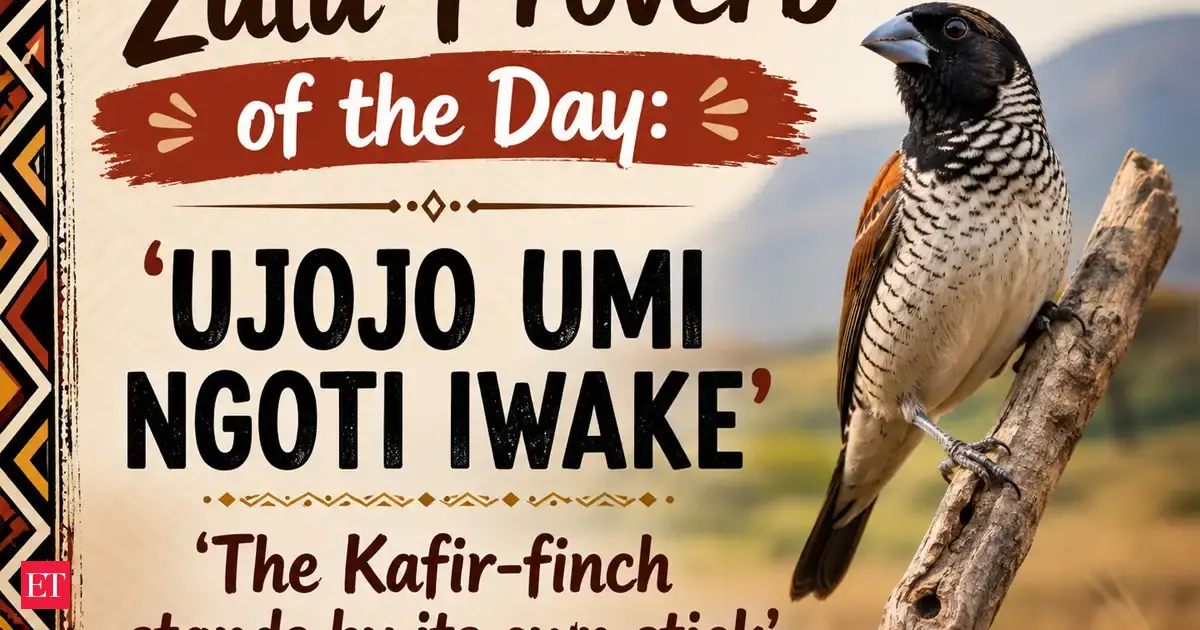 Zulu Proverb of the Day: 'Ujojo Umi Ngoti Iwake' - 'The Kafir-finch ...