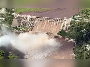 India's 'fragmented' water management framework raises fiscal, credit ...