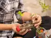 toy manufacturer micro plastics india: Latest News & Videos, Photos ...