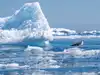 upcoming seasonal events in leading t: Latest News & Videos, Photos ...