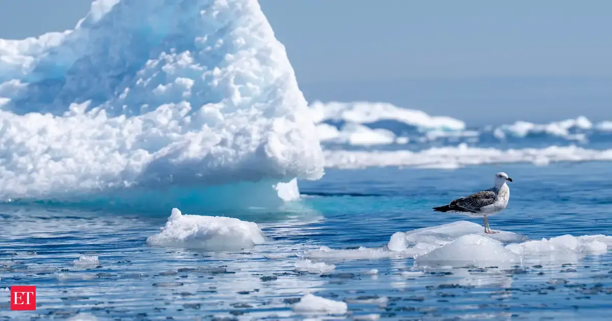 Scientists just found Arctic marine heat waves have surged since the ...