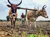 poor governance: Latest News & Videos, Photos about poor governance ...