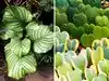 new manufacturing plants in southeast asia: Latest News & Videos ...