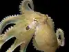 project hail mary animation: Latest News & Videos, Photos about project ...