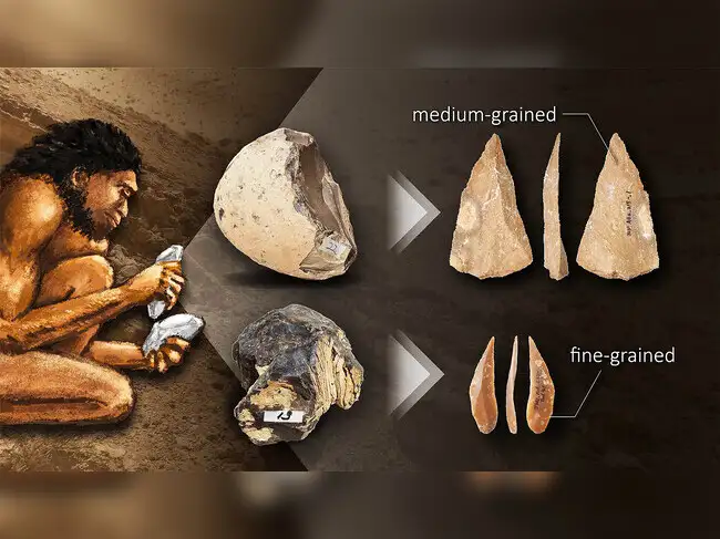 Ancient stone tools uncover a hidden secret about early human ...