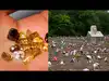 the defendant by derran rajan smith: Latest News & Videos, Photos about ...