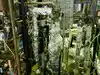 catalyzer advanced materials company: Latest News & Videos, Photos ...