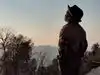mooflixa instagram reel actor News and Updates from The Economic Times ...