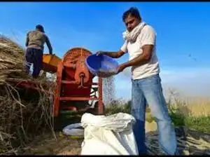 Seed stocks adequate, but last-mile delivery remains critical: FSII ...