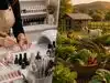 adopt me script auto farm money: Latest News & Videos, Photos about ...
