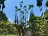 old man planted a tree story: Latest News & Videos, Photos about old ...