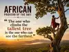 african sayings about unity: Latest News & Videos, Photos about african ...