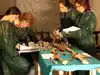 latest news on planigraph explained: Latest News & Videos, Photos about ...