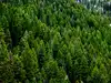 epilates chophouse smartphone forest: Latest News & Videos, Photos ...