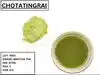 japanese branch tea drip tea: Latest News & Videos, Photos about ...