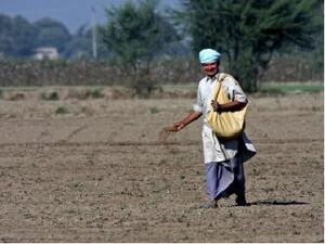 Nagarjuna Fertilizers to set up 1.3 million tonnes urea plant at ...