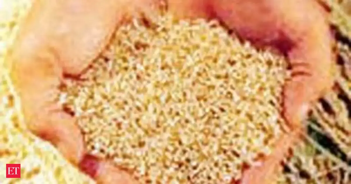 Export surplus wheat now! - The Economic Times