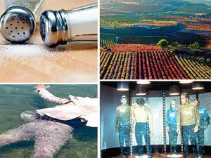 Sunday ET: Interesting facts about salt, dead bodies, tummy, straight ...